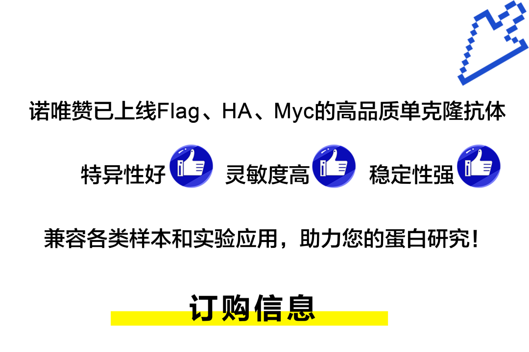 干货 | Flag还是HA？一文搞定你的表位标签选择困难症！|分子量_新浪财经_新浪网