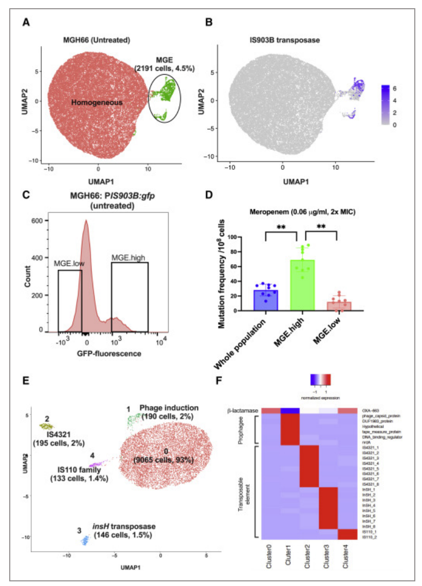 BacDrop单细胞微生物测序方法揭示与抗生素相关的细胞异质性|微生物_新浪财经_新浪网