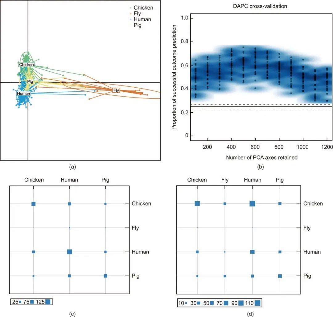 碳青霉烯类耐药性在人源和动物源产NDM酶大肠埃希菌间的传播丨Engineering|菌株_新浪财经_新浪网