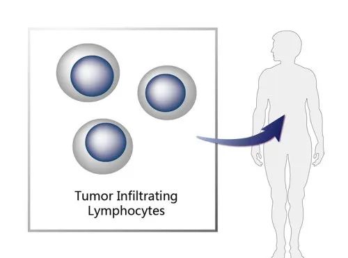 2023下半年FDA即将批准的10款重磅药物|FDA_新浪财经_新浪网