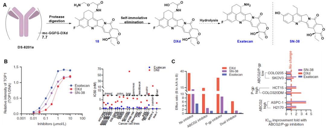 万字长文！深度挖掘DS-8201a！期待下一个破局者|肿瘤_新浪财经_新浪网