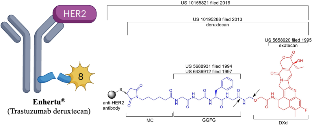 已上市ADC：专利布局全景分析|FDA_新浪财经_新浪网