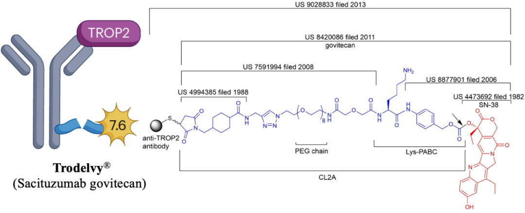 已上市ADC：专利布局全景分析|FDA_新浪财经_新浪网