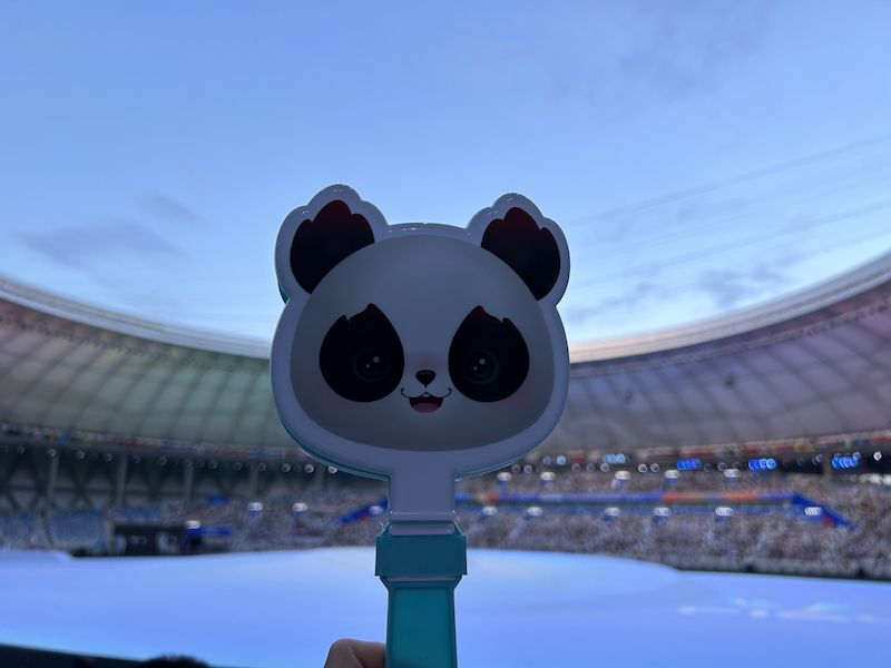 【海评面】大运会上的外国人：要把“蓉宝”带回家|成都大运会_新浪财经_新浪网