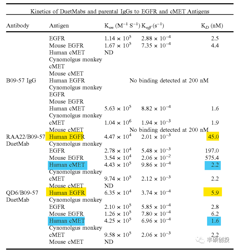 谈一谈两个经典靶点！EGFR/HER3及双抗ADC|肿瘤_新浪财经_新浪网