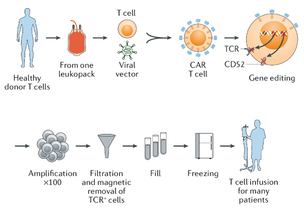通用型CAR-T，细胞治疗的“明日之星”？|CAR-T_新浪财经_新浪网