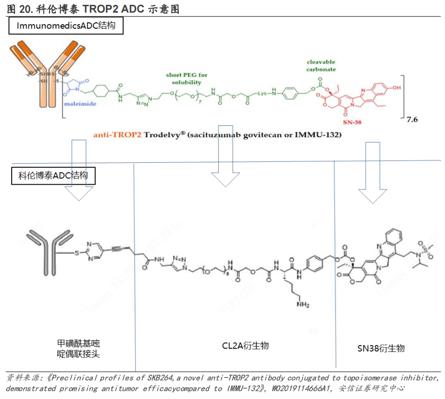 【行业深度】创新药研究框架之ADC：国内ADC技术梳理，青出于蓝而胜于蓝【安信医药马帅团队】|马帅_新浪财经_新浪网