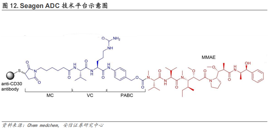 【行业深度】创新药研究框架之ADC：国内ADC技术梳理，青出于蓝而胜于蓝【安信医药马帅团队】|马帅_新浪财经_新浪网