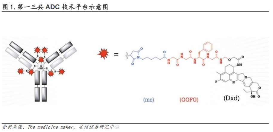 【行业深度】创新药研究框架之ADC：国内ADC技术梳理，青出于蓝而胜于蓝【安信医药马帅团队】|马帅_新浪财经_新浪网