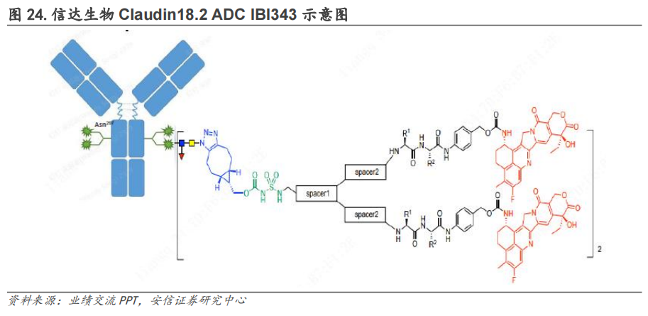【行业深度】创新药研究框架之ADC：国内ADC技术梳理，青出于蓝而胜于蓝【安信医药马帅团队】|马帅_新浪财经_新浪网