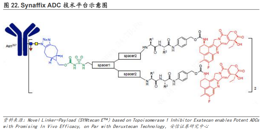 【行业深度】创新药研究框架之ADC：国内ADC技术梳理，青出于蓝而胜于蓝【安信医药马帅团队】|马帅_新浪财经_新浪网