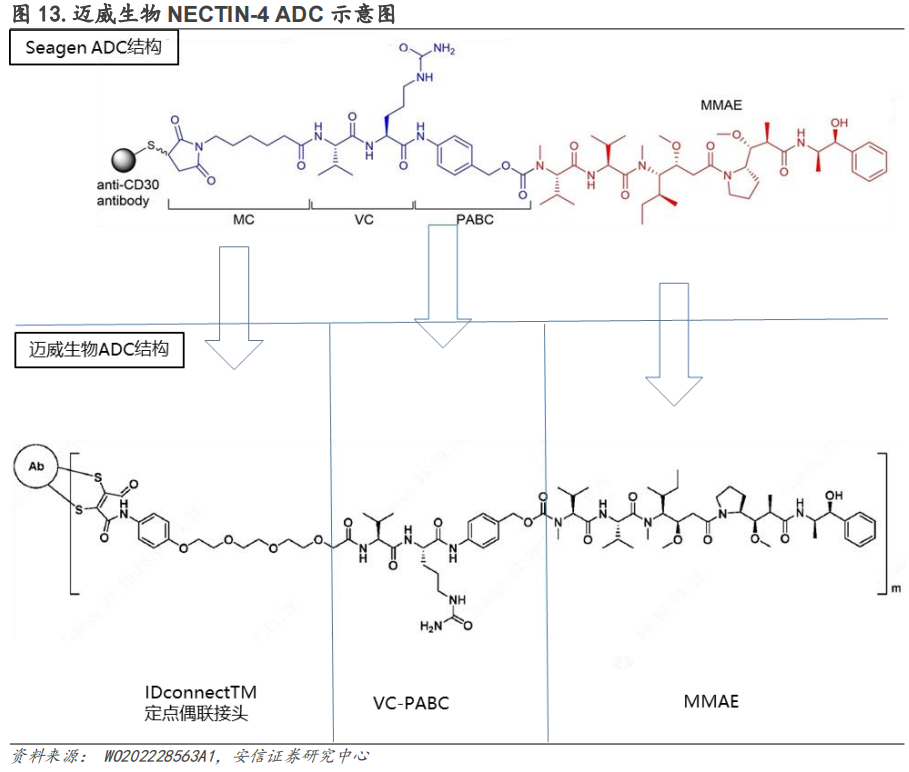 【行业深度】创新药研究框架之ADC：国内ADC技术梳理，青出于蓝而胜于蓝【安信医药马帅团队】|马帅_新浪财经_新浪网