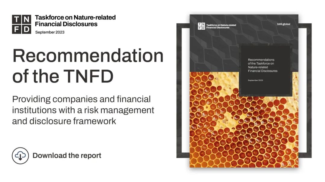 最新！首个TNFD框架建议发布，自然相关信披加速_新浪财经_新浪网