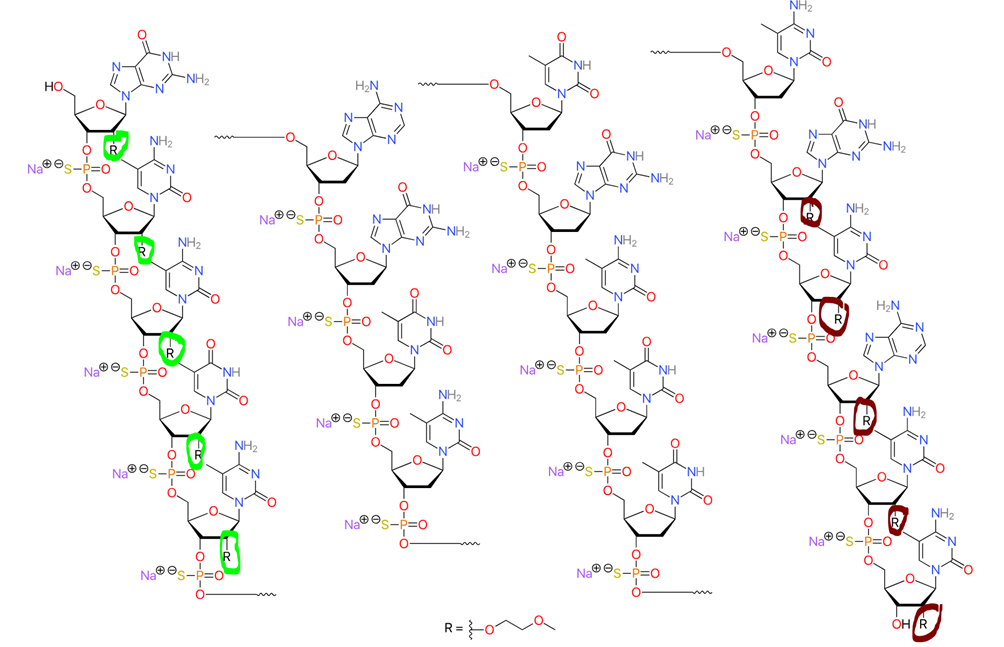 寡核苷酸药物的研发现状与展望|RNA_新浪财经_新浪网