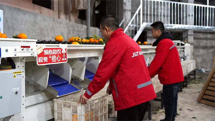 电商巨头共推年货狂欢，抖音快手首选极兔速递|抖音|快手|电商平台|电商巨头_手机新浪网