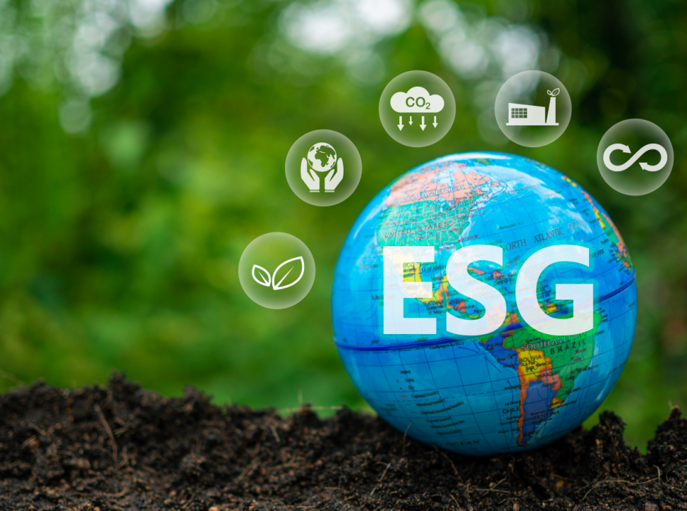 英国ESG新浪潮：中国企业家出海必知的商业变革与机遇|ESG_新浪财经_新浪网