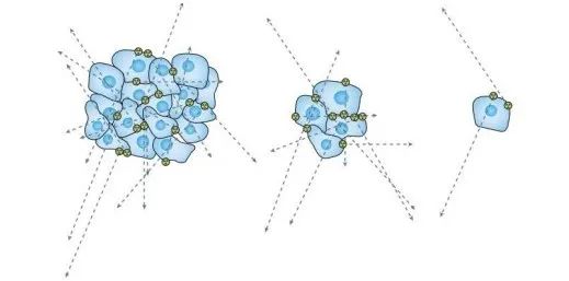 【行研】放射性核素偶联药物（RDC）研究进展|肿瘤_新浪财经_新浪网
