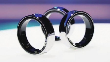 传音Tecno Dynamic 1：被AI“附身”的机器狗_新浪科技_新浪网