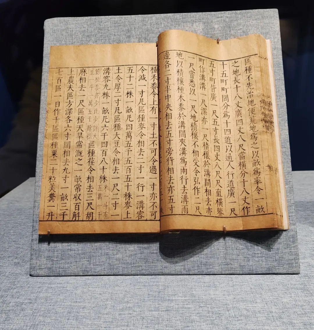 典籍里的中国酿酒，在一部《齐民要术》__财经头条