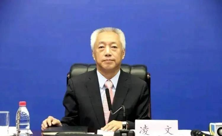 原国家能源集团总经理凌文院士，有了新身份！|凌文_新浪财经_新浪网