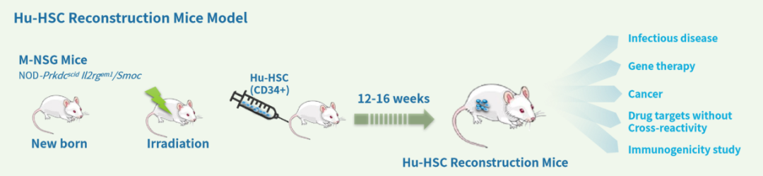 M-NSG Pro系列 | 这些小鼠，让免疫重建更进一步|新冠肺炎_新浪财经_新浪网