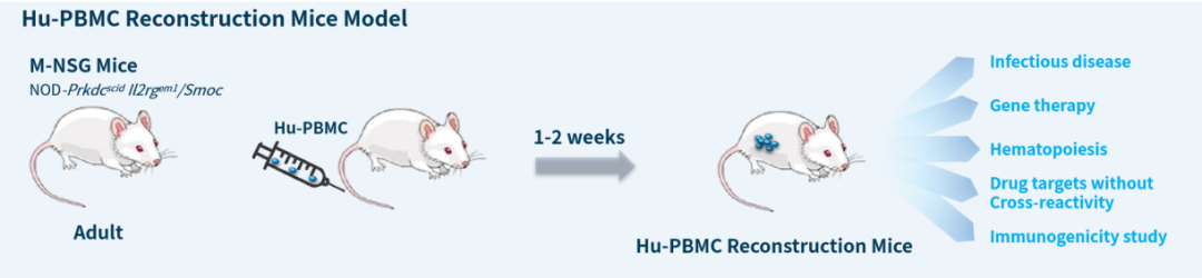 M-NSG Pro系列 | 这些小鼠，让免疫重建更进一步|新冠肺炎_新浪财经_新浪网