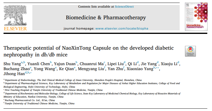 脑心通对db/db进展性小鼠糖尿病肾病的治疗潜力|糖尿病_新浪财经_新浪网