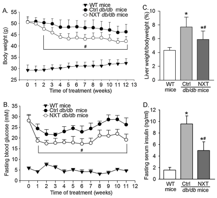 脑心通对db/db进展性小鼠糖尿病肾病的治疗潜力|糖尿病_新浪财经_新浪网