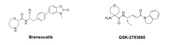 【速递】超50亿美金，全球首款DDP-1抑制剂III期临床结果公布_新浪财经_新浪网