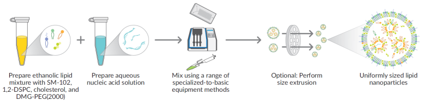 体内药物递送的那些事：纳米颗粒（LNPs、AuNPs、MSNs）、外泌体|RNA_新浪财经_新浪网