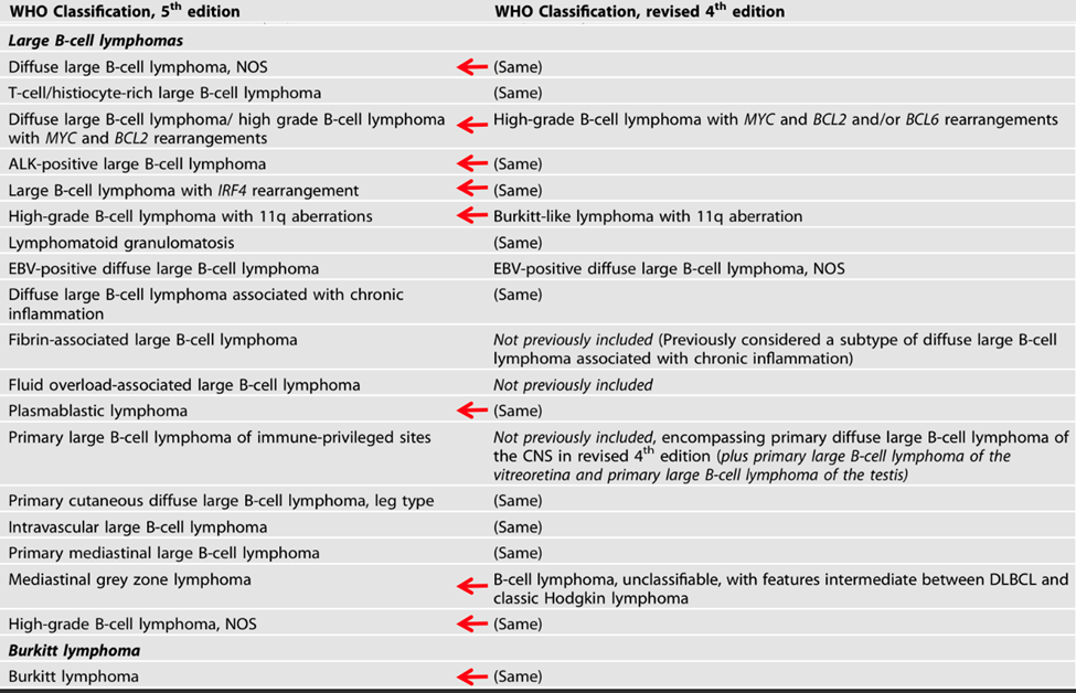 Atypical pattern in FISH ｜我们正致力于解读不典型信号（淋巴瘤篇-1）|文献_新浪财经_新浪网