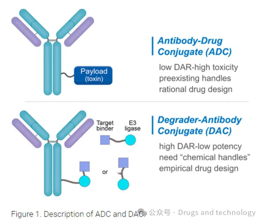 【关注】聊聊基于protac的ADC_新浪财经_新浪网