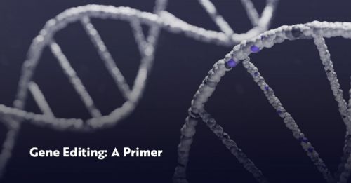 抗衰先锋品牌 GRANVER正式落地中国，开启健康生活新篇章|中国_新浪科技_新浪网