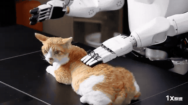 星动纪元发布人形机器人STAR1：最大跑速超6m/s，最大负载160kg_新浪财经_新浪网