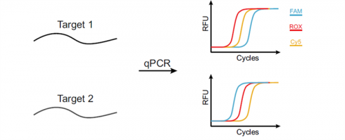超多重qPCR新突破，阅尔基因创新技术在 Nucleic Acids Research发表|基因_新浪财经_新浪网