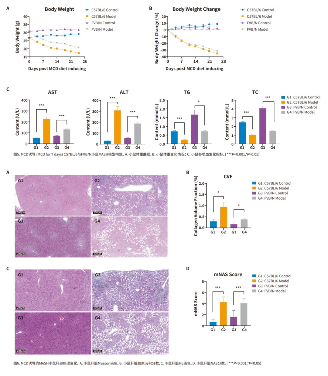 深度解析，MASH常用小鼠模型汇总_新浪财经_新浪网