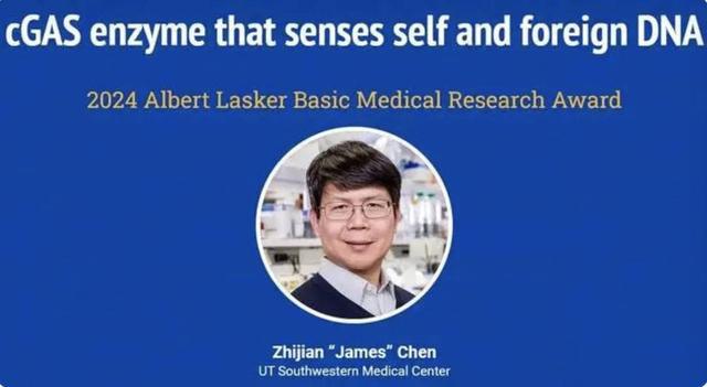 2024年诺贝尔生理学奖今日揭晓 华人科学家成热门人选｜科技观察|诺贝尔_新浪财经_新浪网