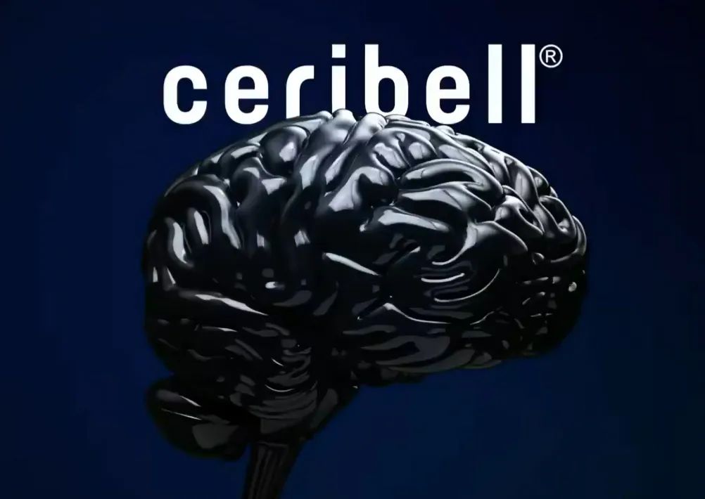 北大才女创办的CeriBell纳斯达克上市：大涨47% 公司市值8.5亿美元 路演PPT曝光_创事记_新浪科技_新浪网