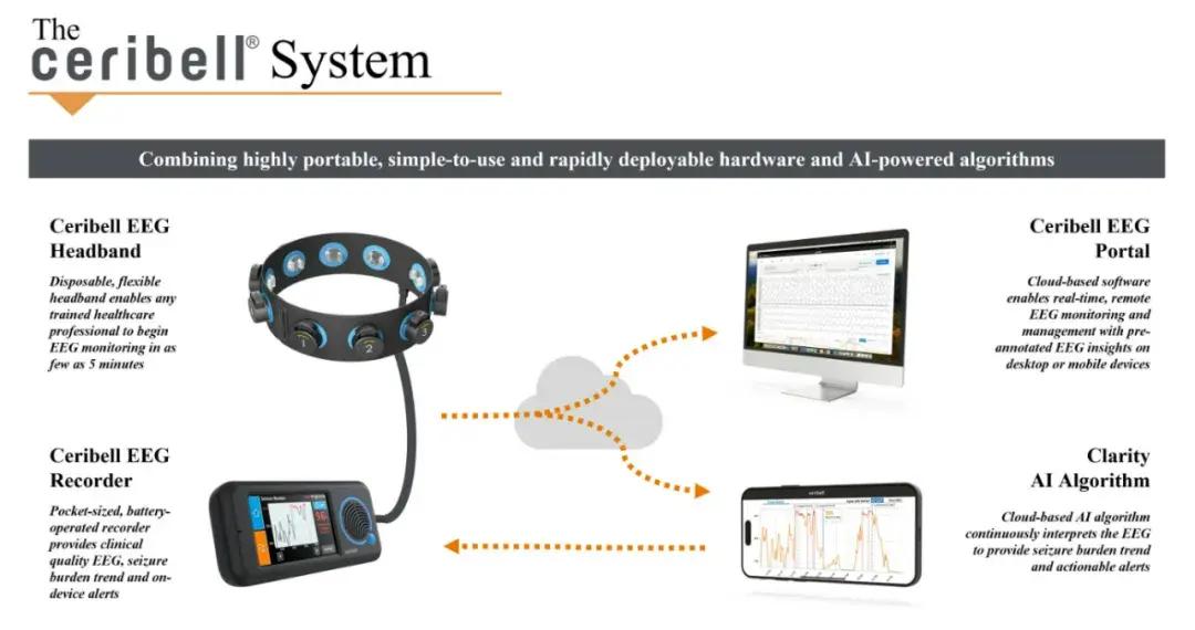 北大才女创办的CeriBell纳斯达克上市：大涨47% 公司市值8.5亿美元_创事记_新浪科技_新浪网