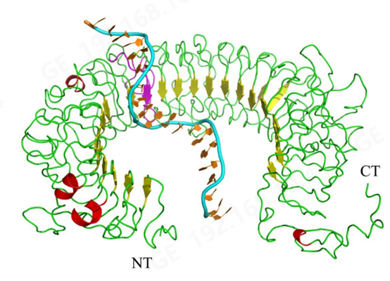 技术分享|疫苗佐剂之 CpG ODN：特性、研究进展与应用全解析_新浪财经_新浪网