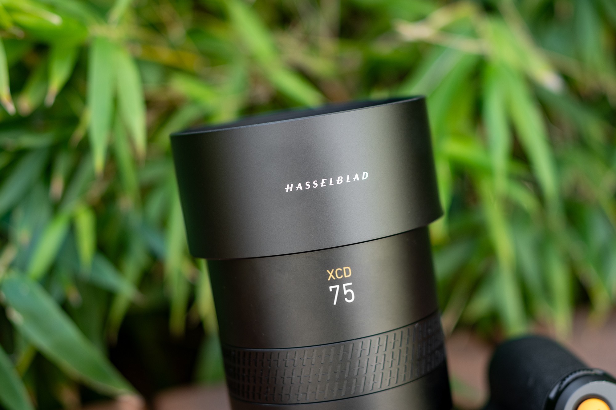 哈苏XCD 3,4/75P镜头测试：XCD P系列第一支人像镜头|设计|哈苏_新浪科技_新浪网