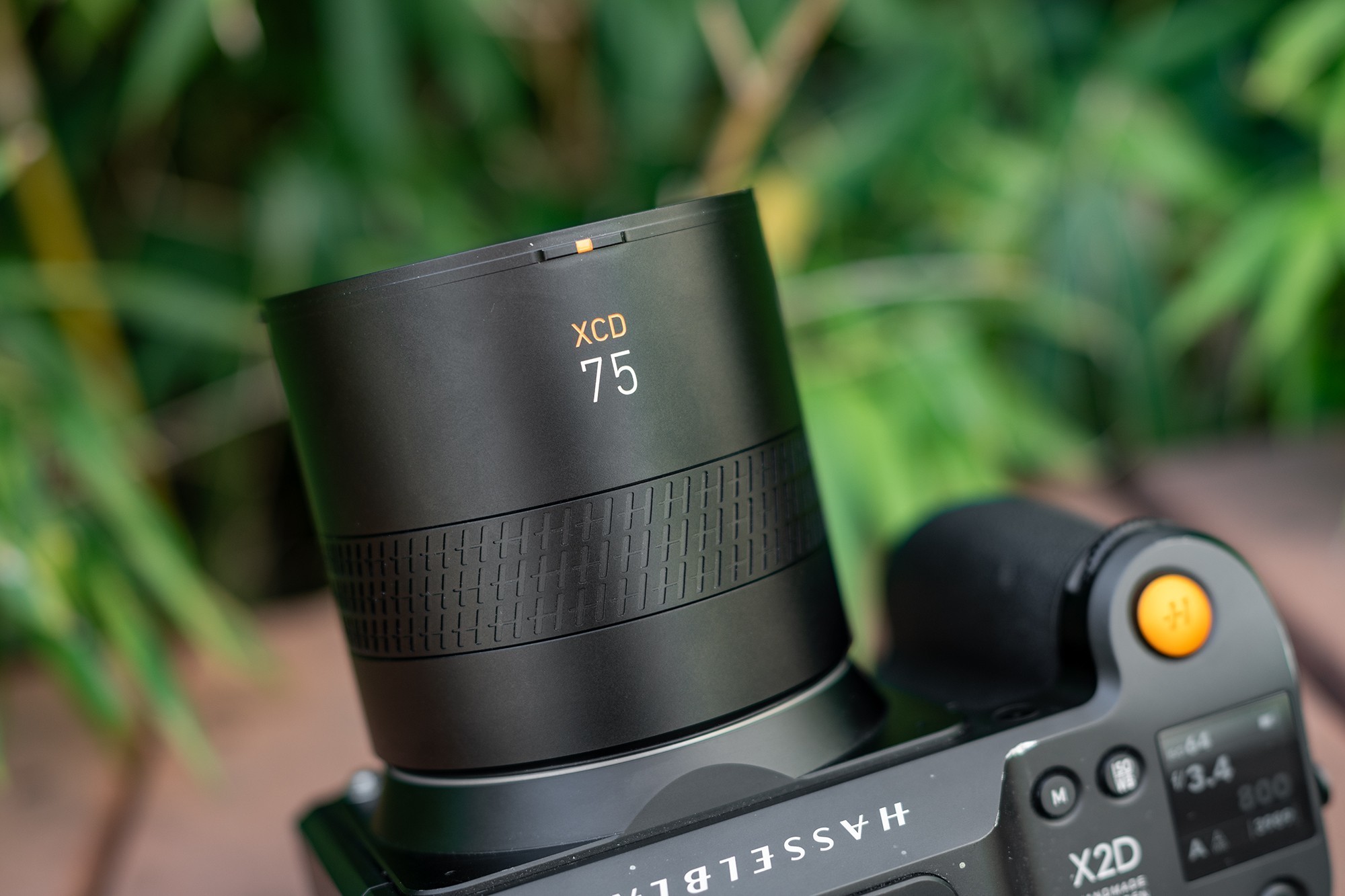 哈苏XCD 3,4/75P镜头测试：XCD P系列第一支人像镜头|设计|哈苏_新浪科技_新浪网