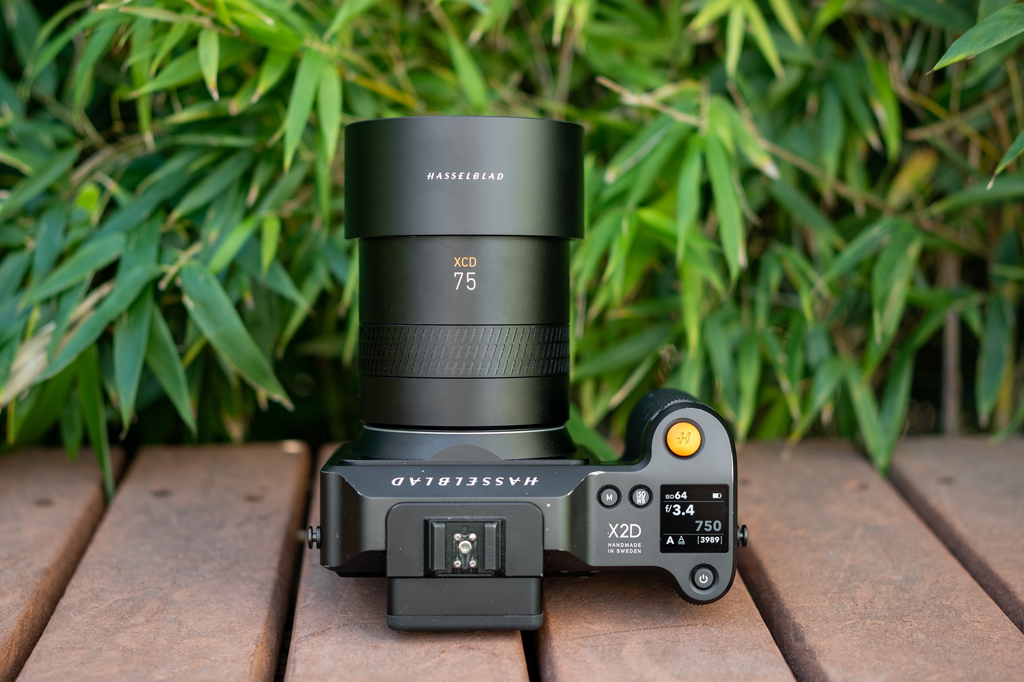 哈苏XCD 3,4/75P镜头测试：XCD P系列第一支人像镜头|设计|哈苏_新浪科技_新浪网