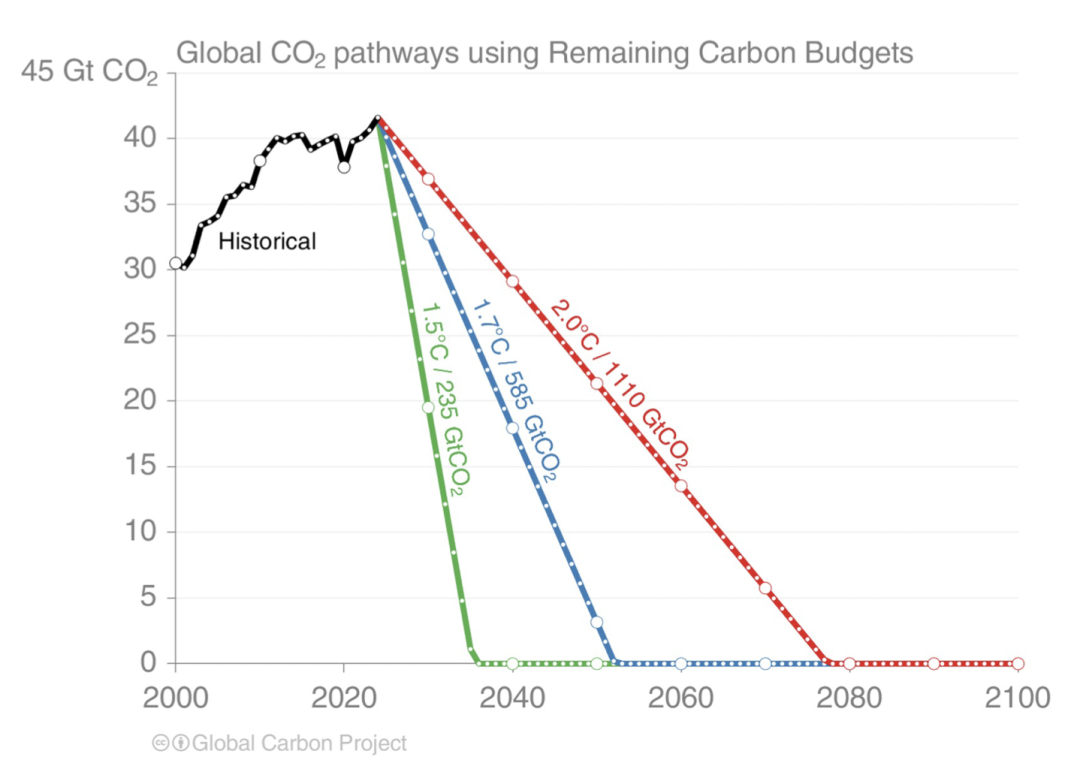 《2024年全球碳收支》发布|二氧化碳_新浪财经_新浪网