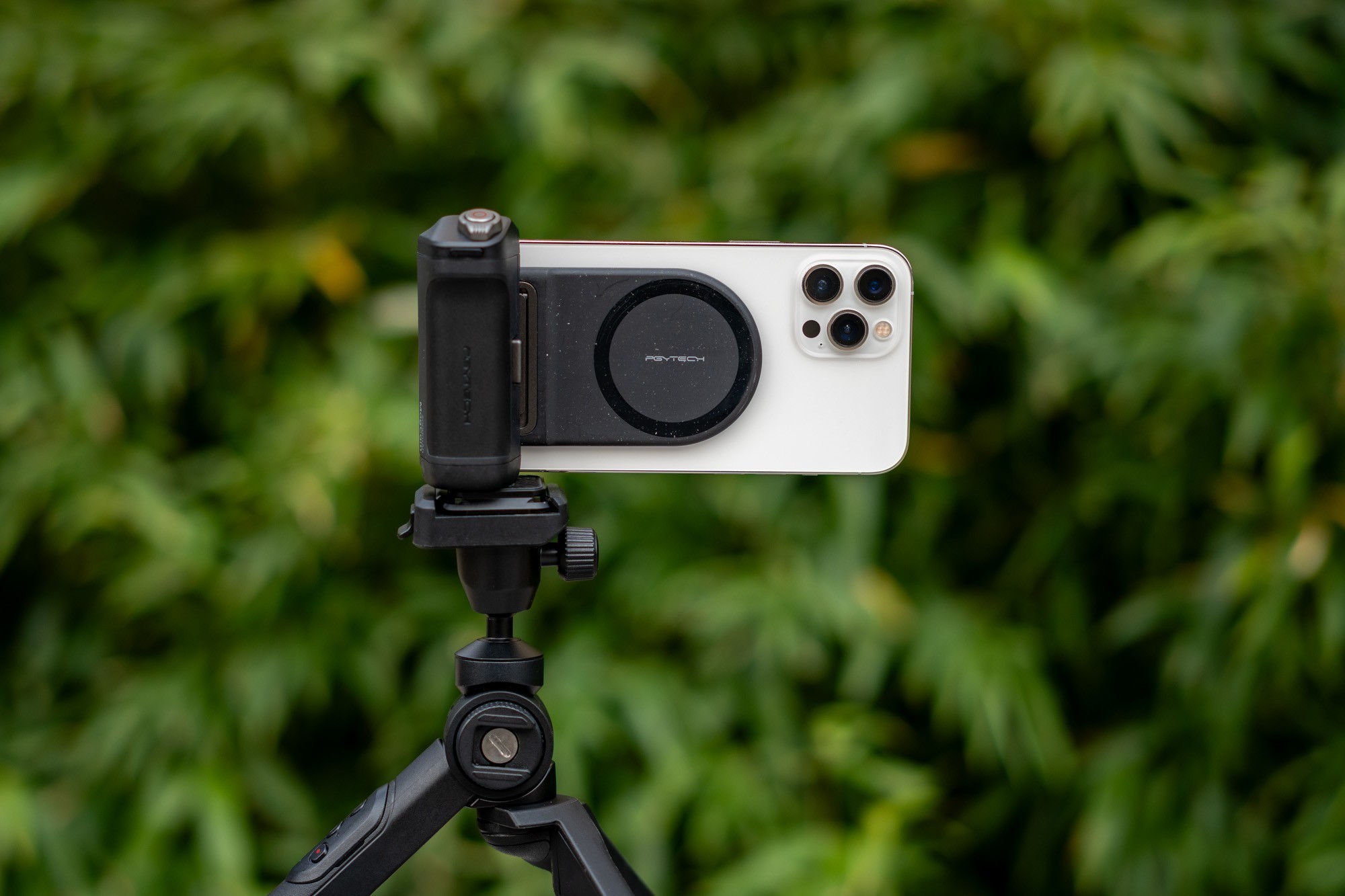 PGYTECH MagCam手机摄影手柄&MagGlow磁吸补光灯评测：手机秒变摄影神器|蓝牙|摄影|支架_新浪科技_新浪网