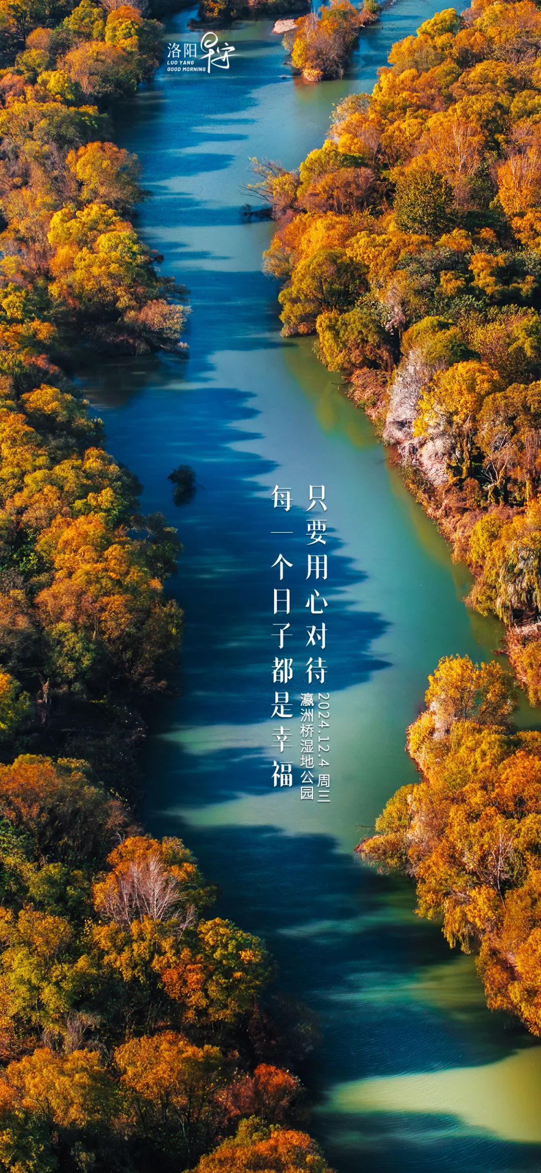 【洛阳·早安】即日起，全省严查！|洛阳市_新浪财经_新浪网