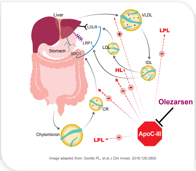 每月一次！新型长效降脂疗法在美国获批上市|美国_新浪财经_新浪网