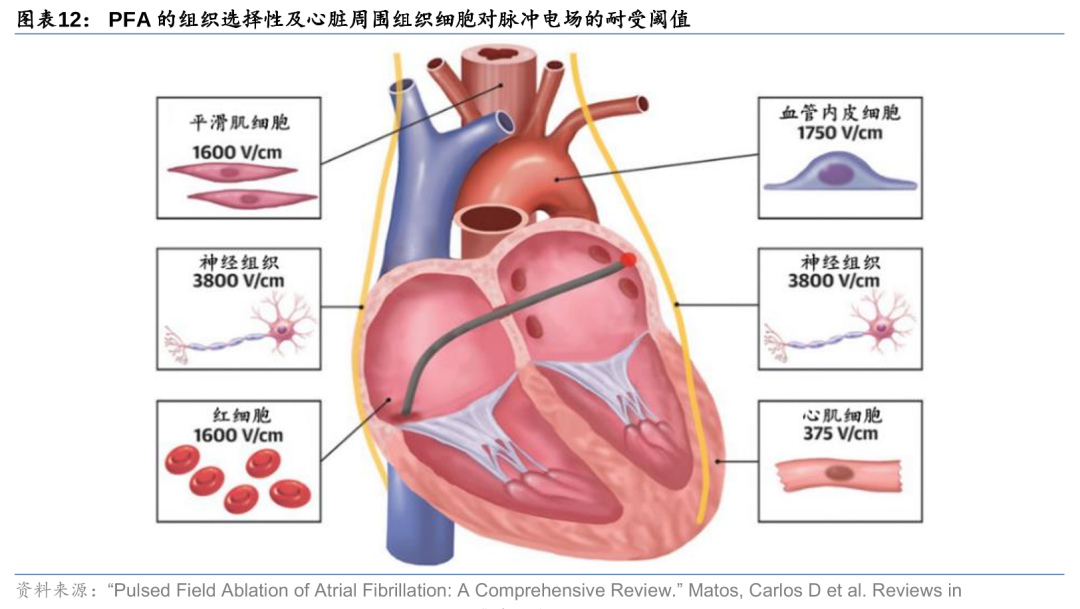 华泰 | 医药深度：PFA——“脉”向心征程，“冲”锋正当时_新浪财经_新浪网
