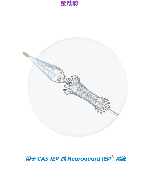 美敦力，锁定下个收购目标|血管_新浪财经_新浪网