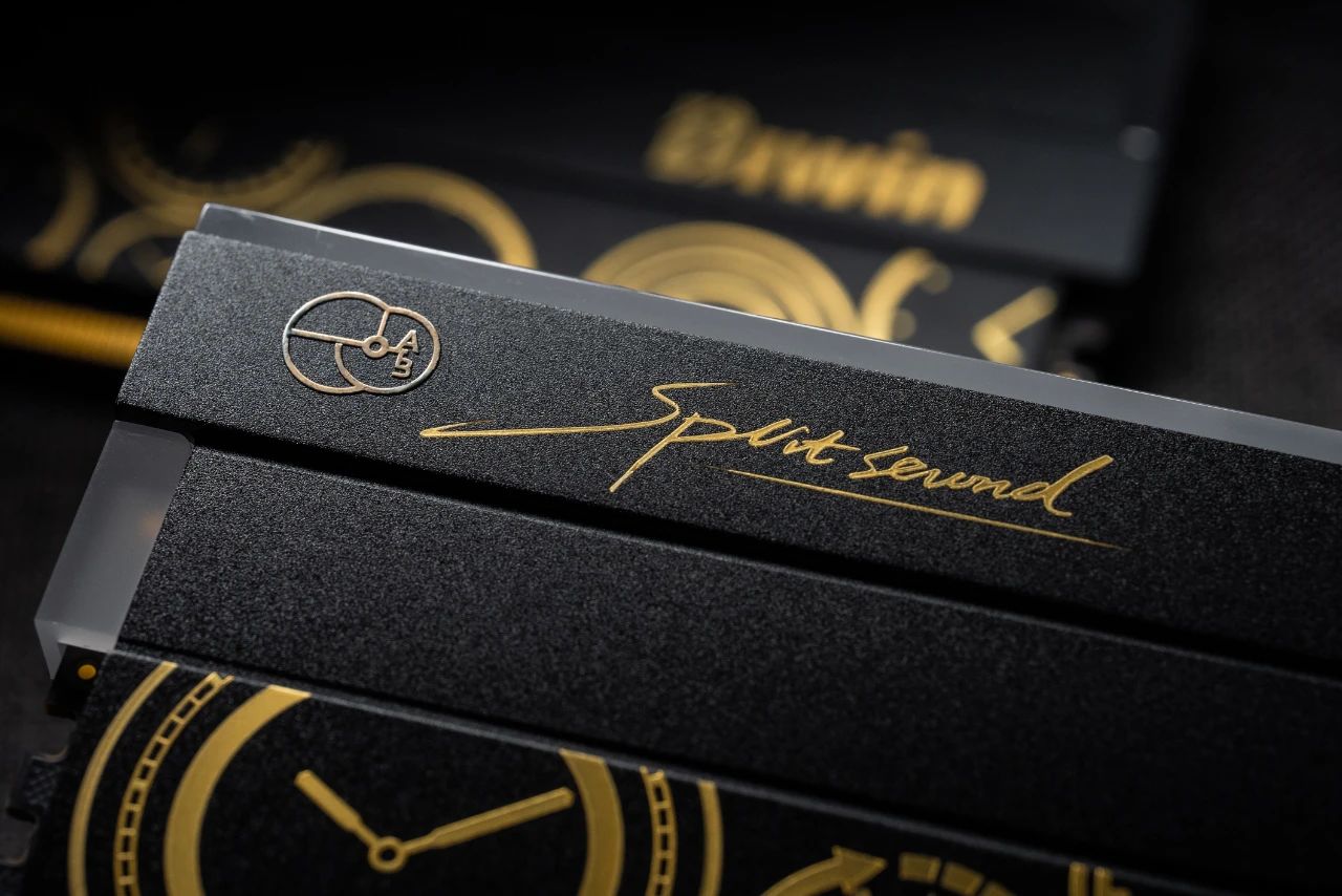 黑金外观，佰维发布世界首款双档 EXPO 配置内存条 DW100 OCLAB 联名版|佰维|联名版|IT之家_新浪科技_新浪网